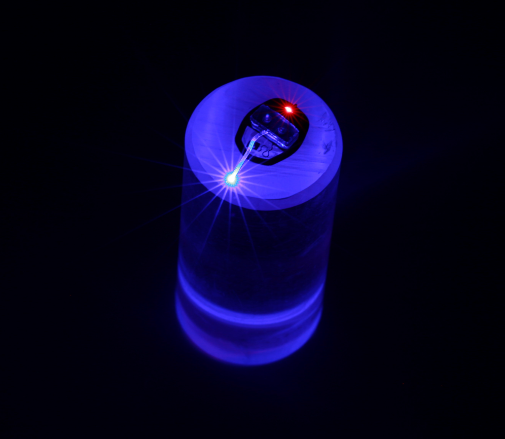 Novel NeuroLux Optofluidics Device – NeuroLux